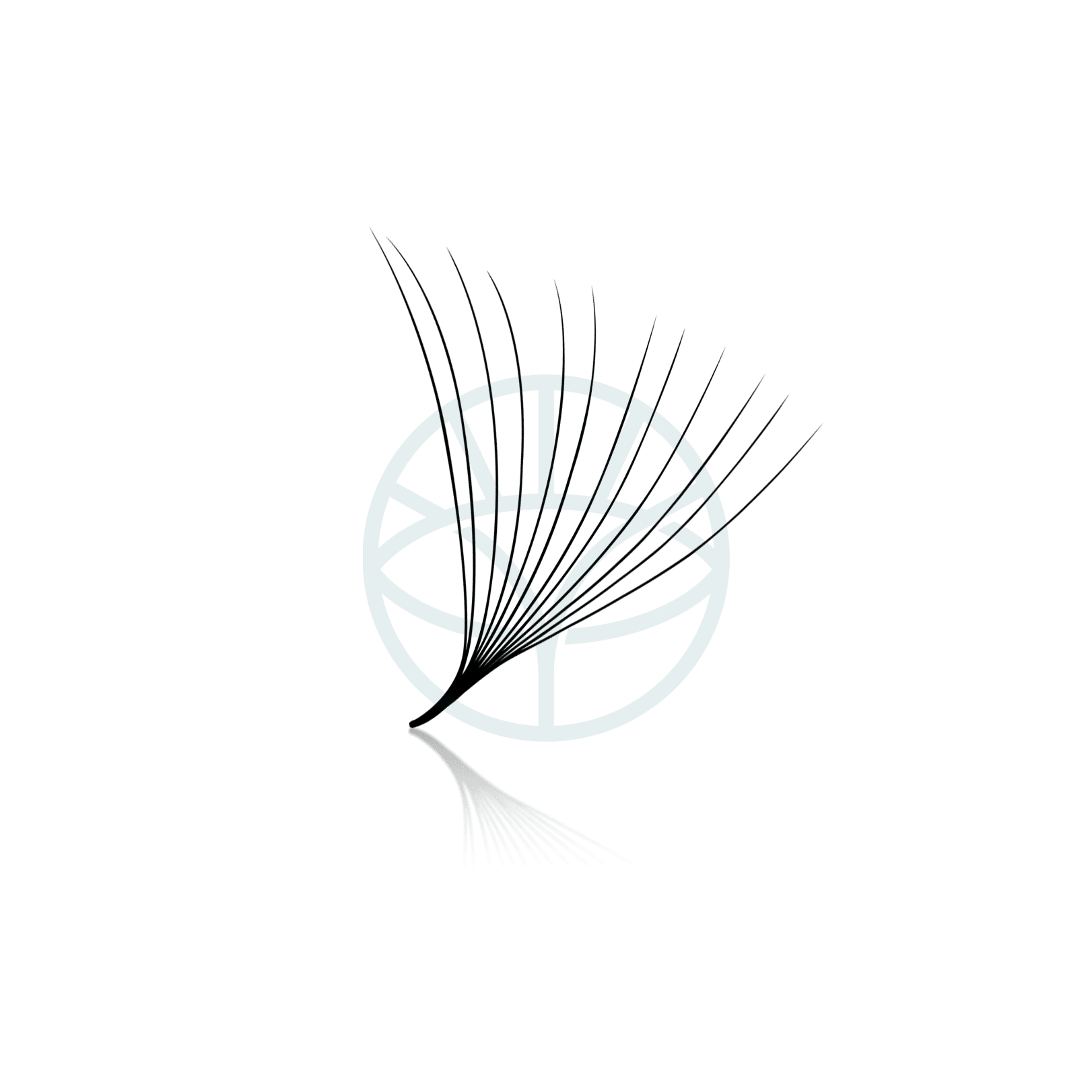 12D ProMade Loose Lash Extensions - 0.03 – Envolash